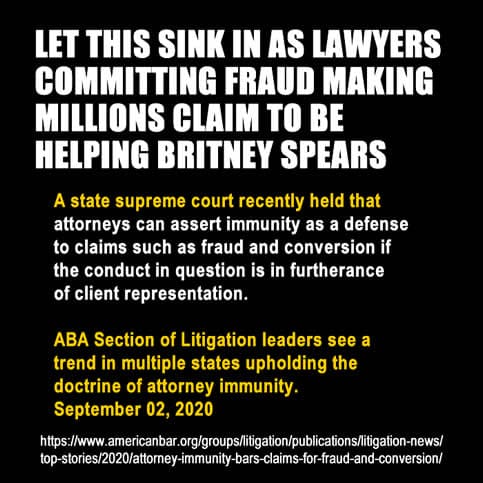 Attorney Immunity Bars Claims for Fraud and Conversion - Court Victim ...