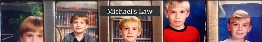 What Michael Sussmans Law is about? - Court Victim Network